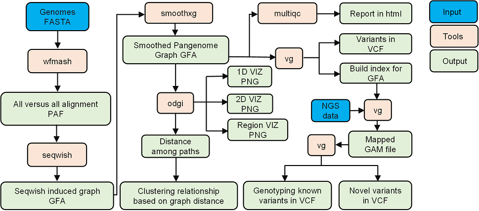 1. Introduction to pangenome graphs - Pangenome Graphs