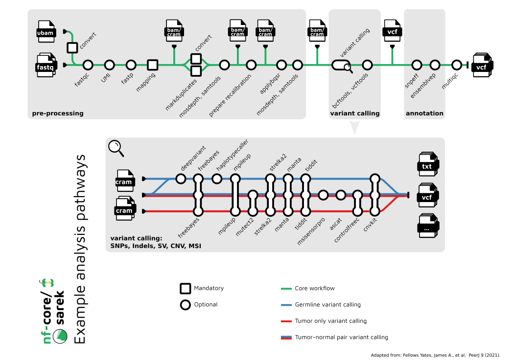 The Sarek pipeline - Genomics Aotearoa Introduction to Nextflow Workshop